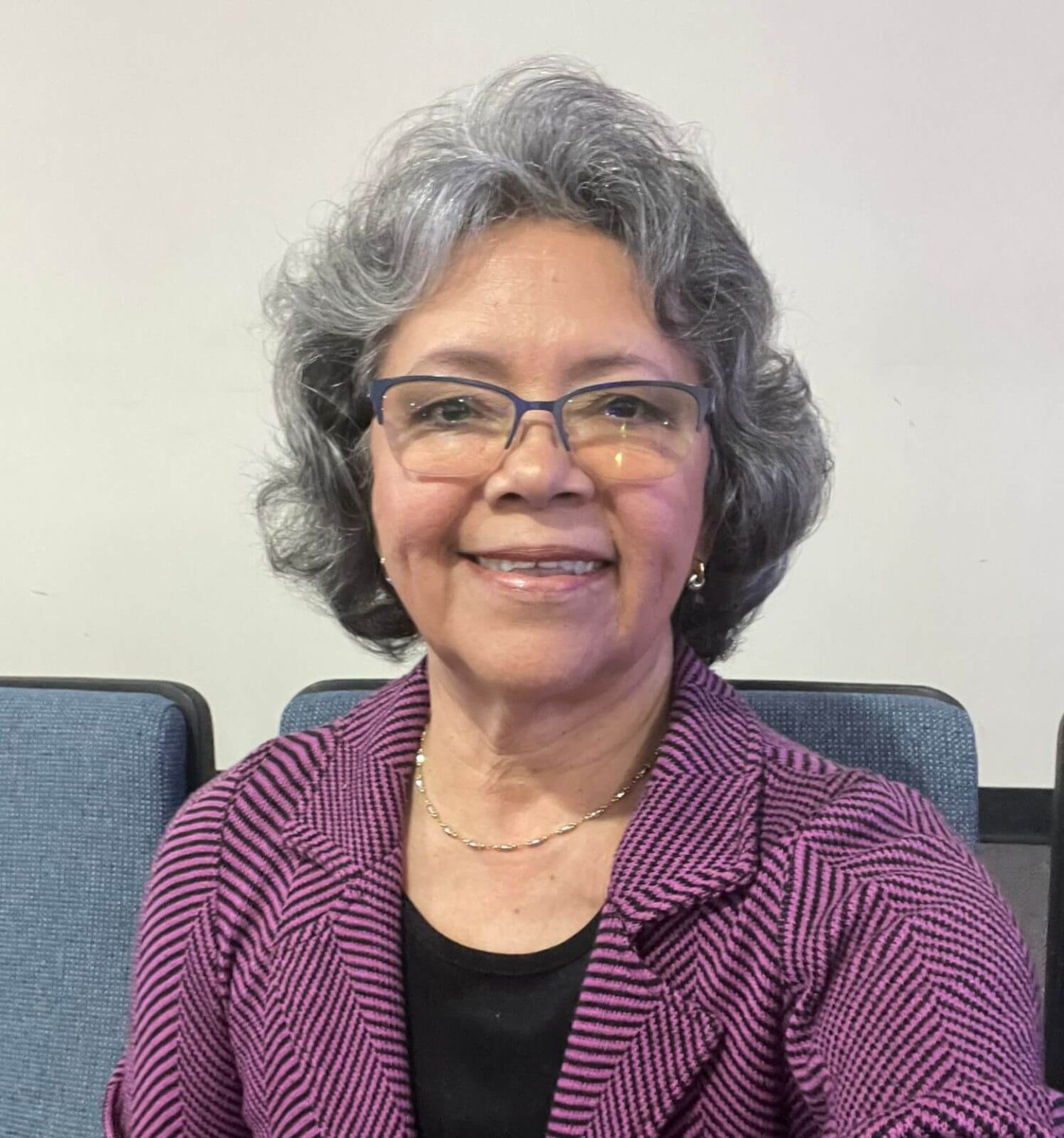 Auditores / Asesores – El Salvador - SICCS