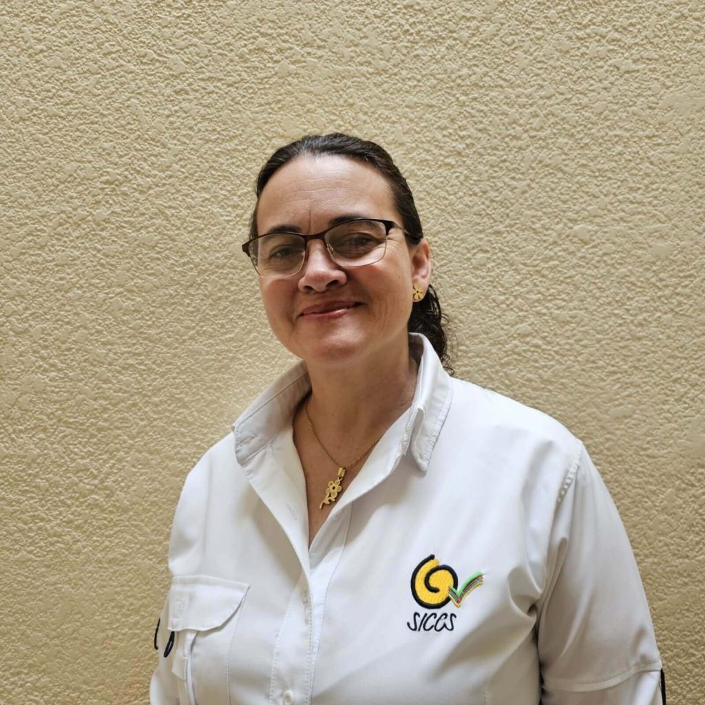 Auditors / Consultants – Guatemala - SICCS